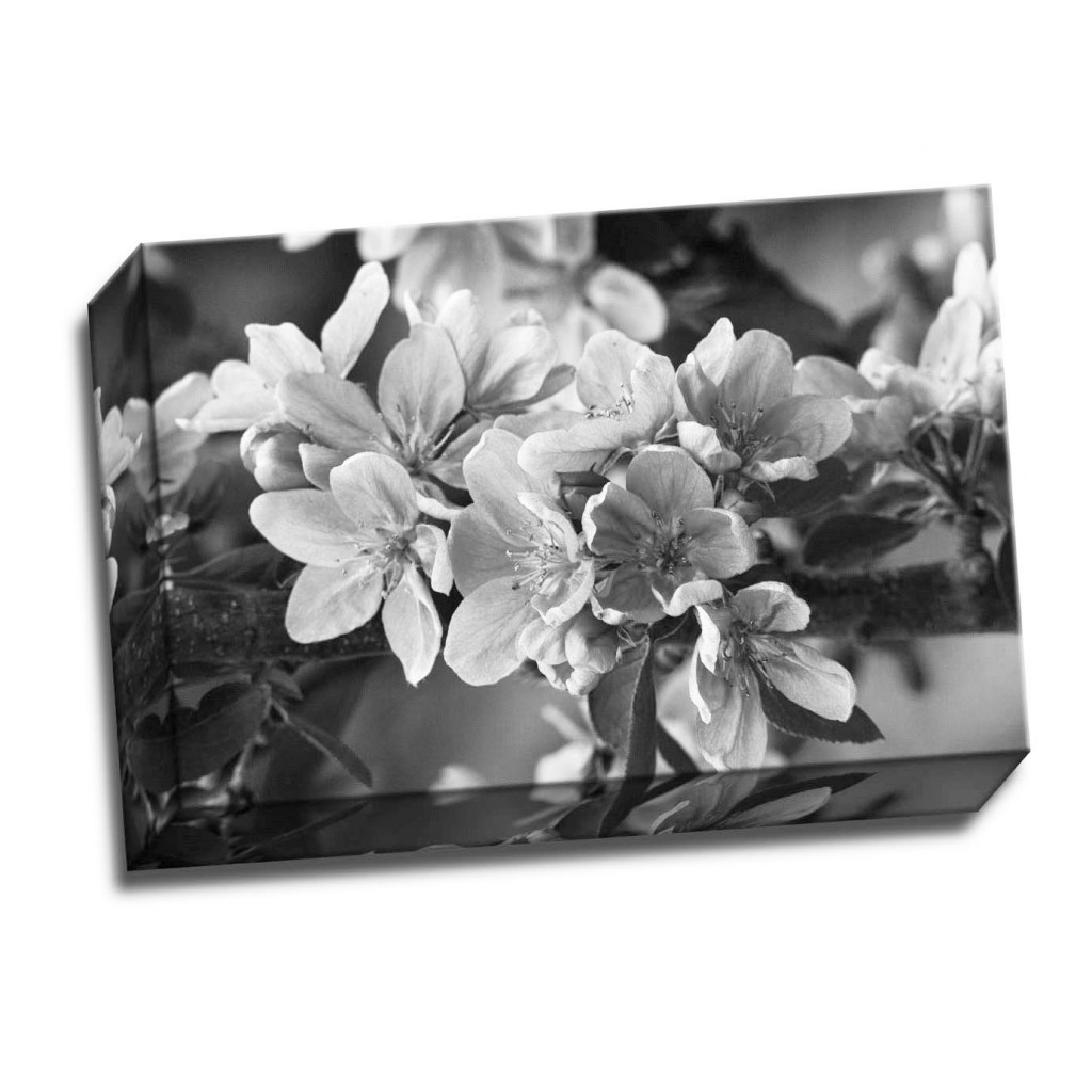RECTANGLE Custom Canvas Print 35cm X 45cm 14 X 18 The Best Canvas 